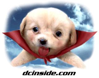 Best Posts gallery | Community Portal dcinside